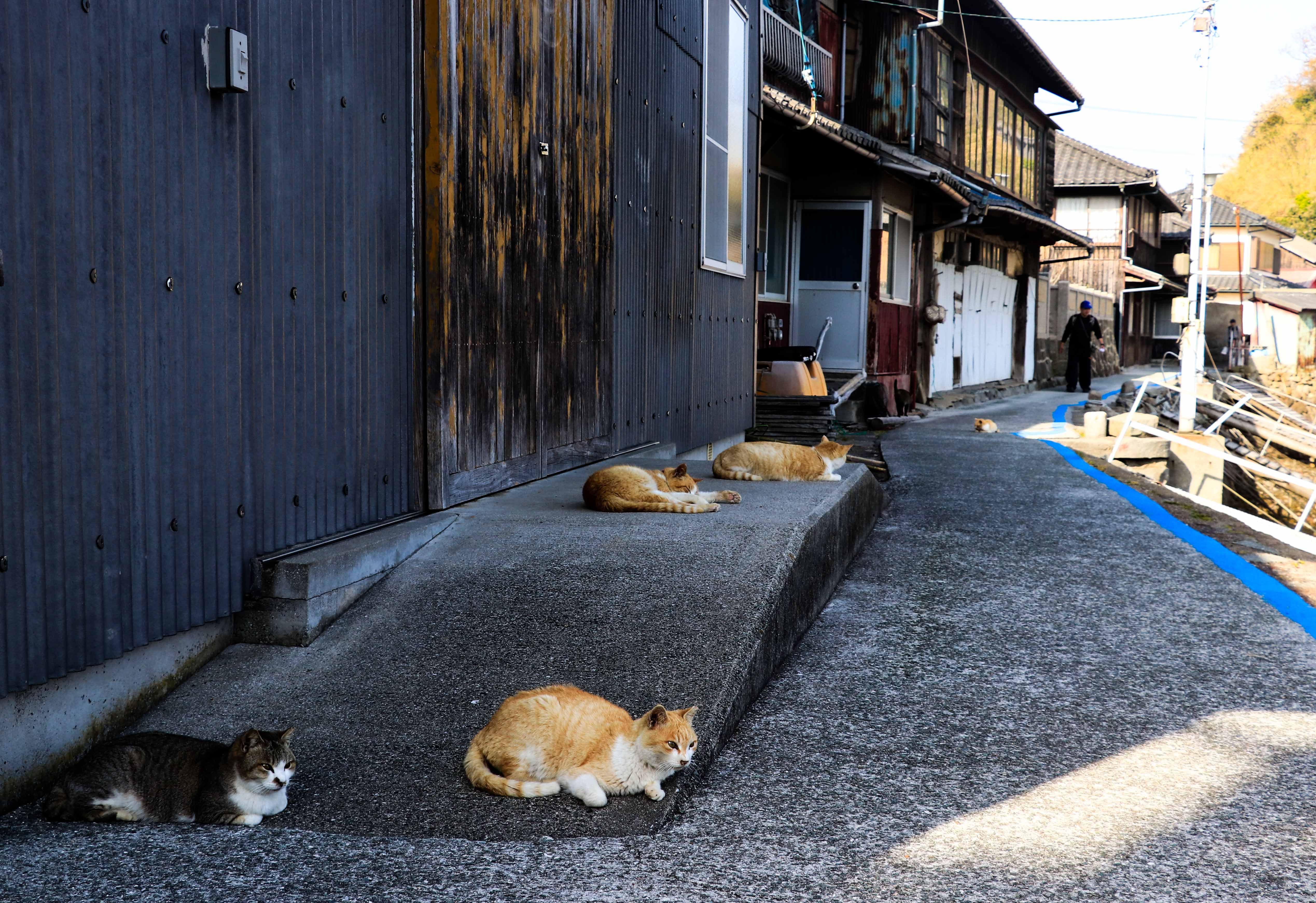 Hidden Japan: Secret Spots You Must Visit | GoWithGuide